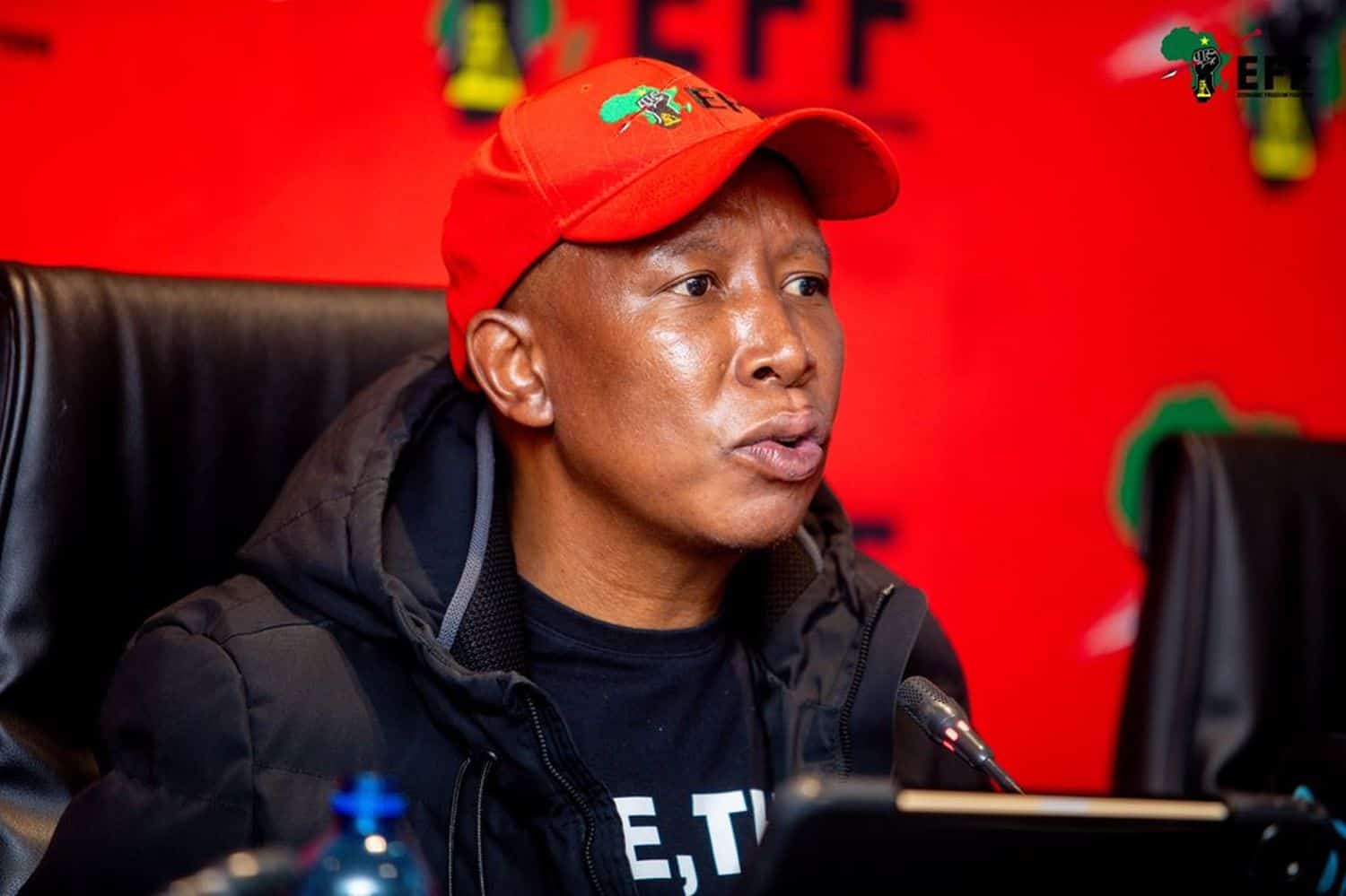 Malema accuses Kunene of lying about relationship with man accused of ...