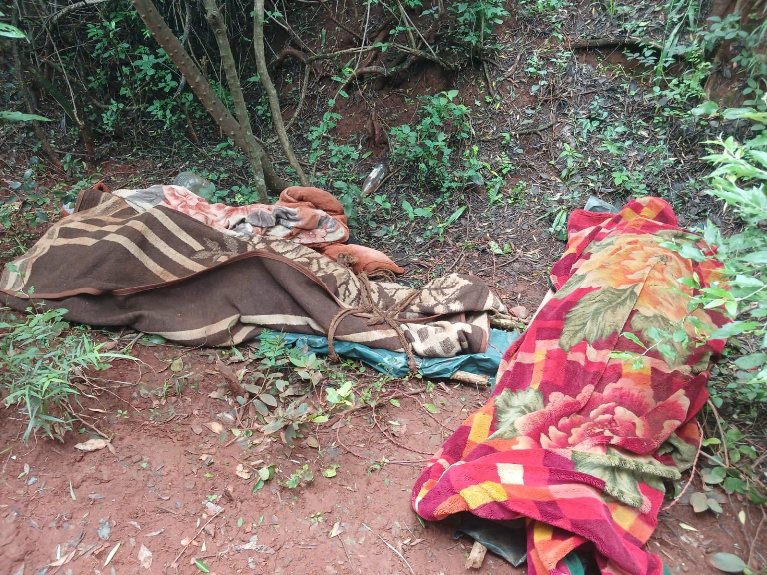 Two men found dead near Lily mine in Mpumalanga – South African Live